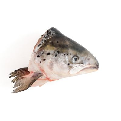 Fresh Farmed Atlantic Salmon Head (per lb) - Instacart