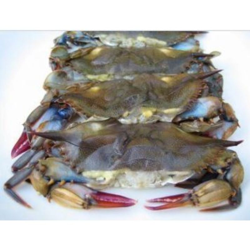 Jumbo Soft Shell Crabs (12 ct) - Instacart