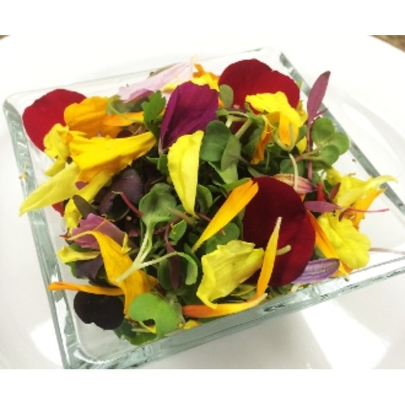 Micro Chef Blend (8 oz) Delivery or Pickup Near Me - Instacart