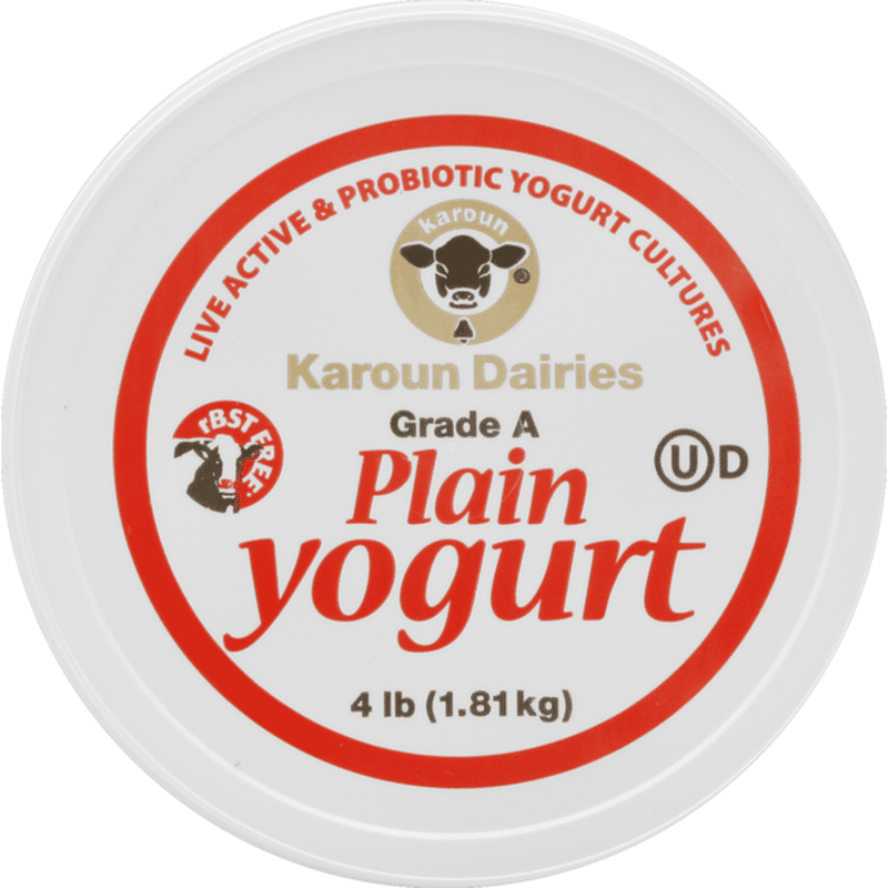 Karoun Yogurt, Plain (4 lb) - Instacart