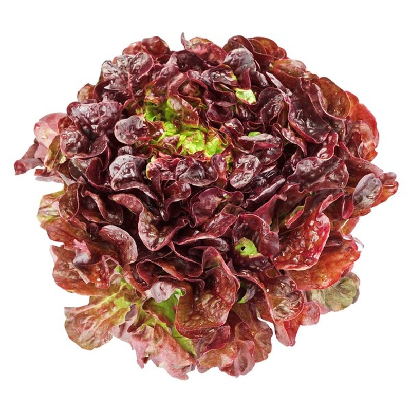 Organic Red Butterhead (Boston, Butter, Bibb) Lettuce (5 oz) - Instacart