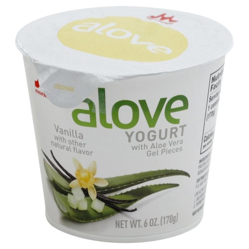 Mori-Nu Yogurt, Vanilla, with Aloe Vera Gel Pieces, Japanese Style (6 ...