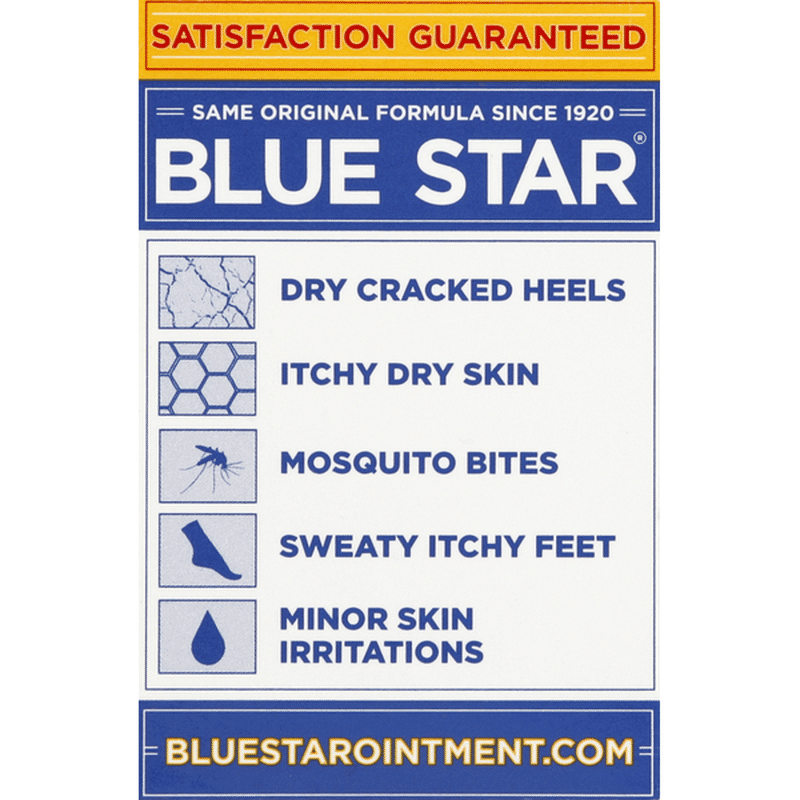 Blue Star Medicated Itch Ointment with Soothing Aloe, Original Formula ...