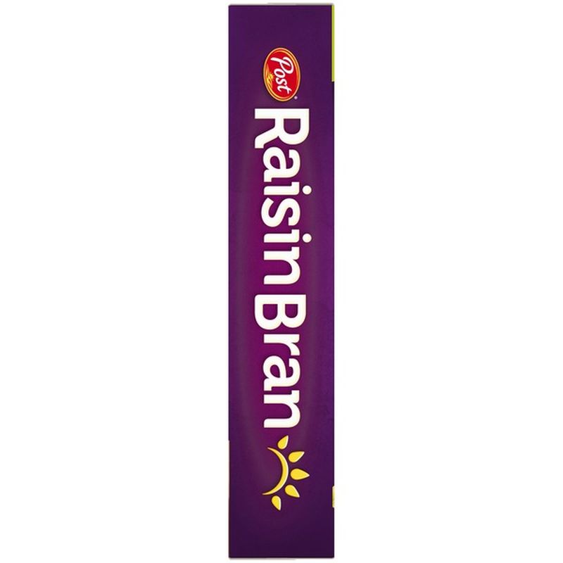 Post Raisin Bran (20 oz) - Instacart
