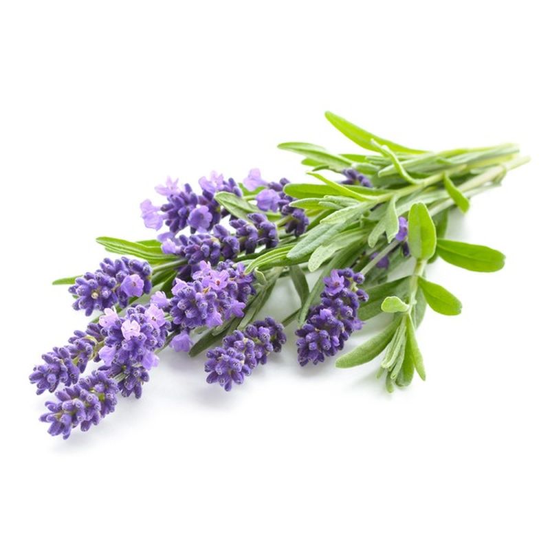 Lavender Bunch (each) - Instacart