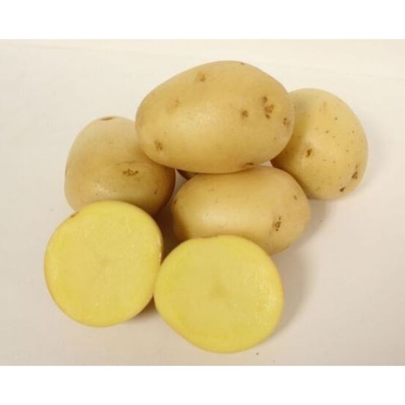 Yukon Gold Potato Bag (10 lb bag) - Instacart