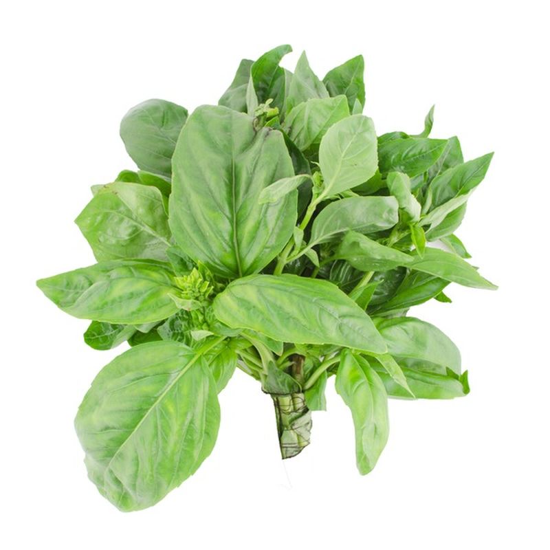 Organic Basil Package (1 lb container) - Instacart