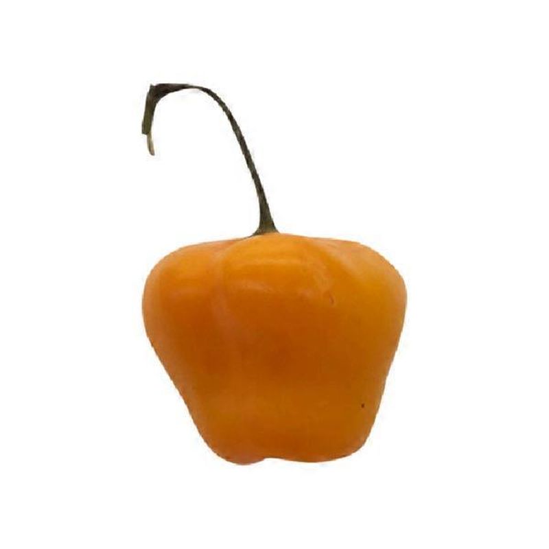 Manzano Chili Pepper (per lb) - Instacart
