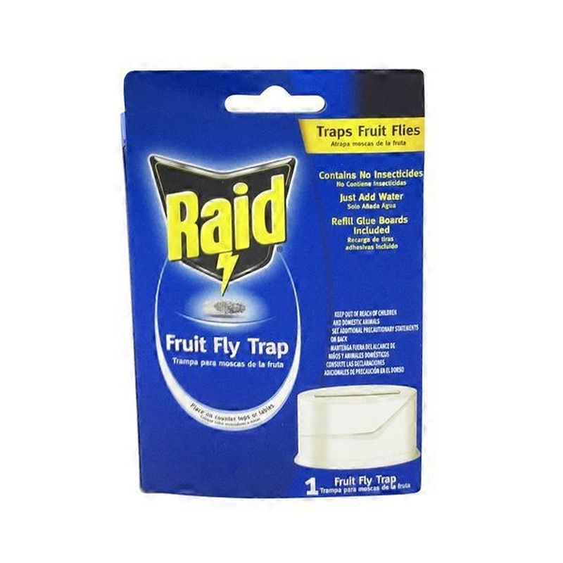 Raid Fruit Fly Trap (each) - Instacart