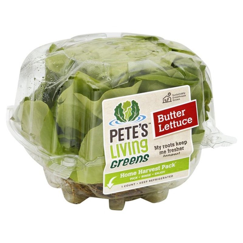 Live Gourmet Living Butter Lettuce (5 oz container) - Instacart