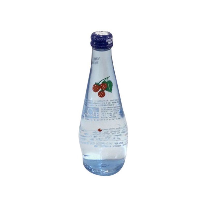 Clearly Canadian Sparkling Water Beverage, Country Raspberry (325 ml ...