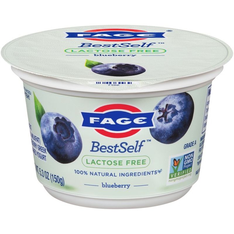 Is Kirkland Greek Yogurt Lactose Free At Scott Steward Blog