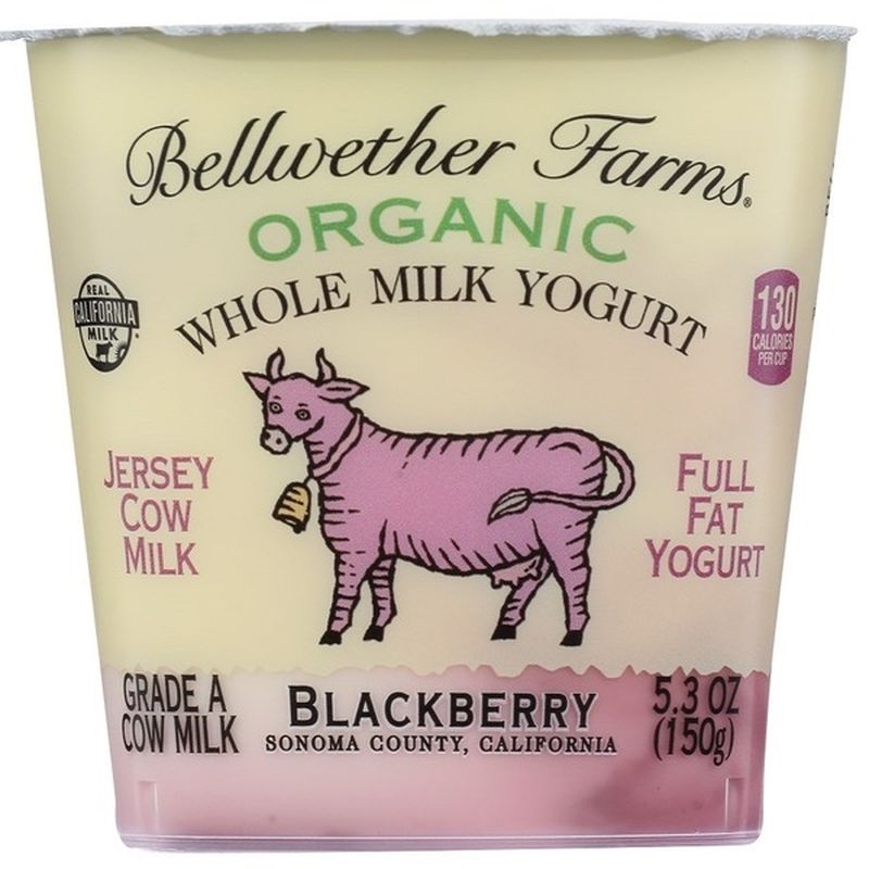 Bellwether Farms, Organic Whole Milk Yogurt, Blackberry (5.3 oz ...