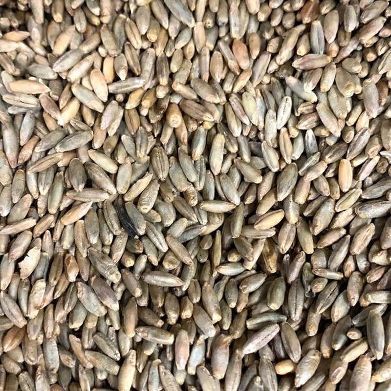 Organic Whole Rye Grain Berries (per lb) - Instacart