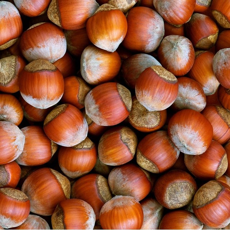 In Shell Hazelnuts (each) - Instacart