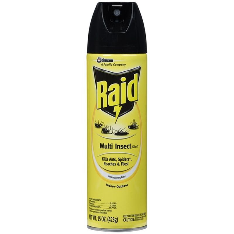 Raid Multi Insect Killer 7 (15 oz) - Instacart