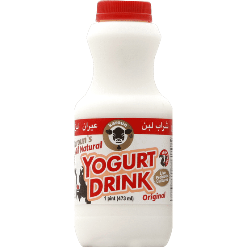 Karoun Yogurt Drink, Original (1 pt) - Instacart