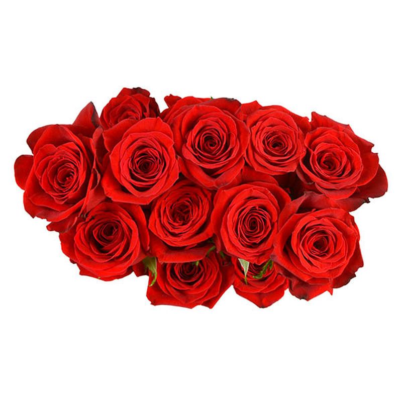 Wegmans Two Dozen Red Roses | Wegmans